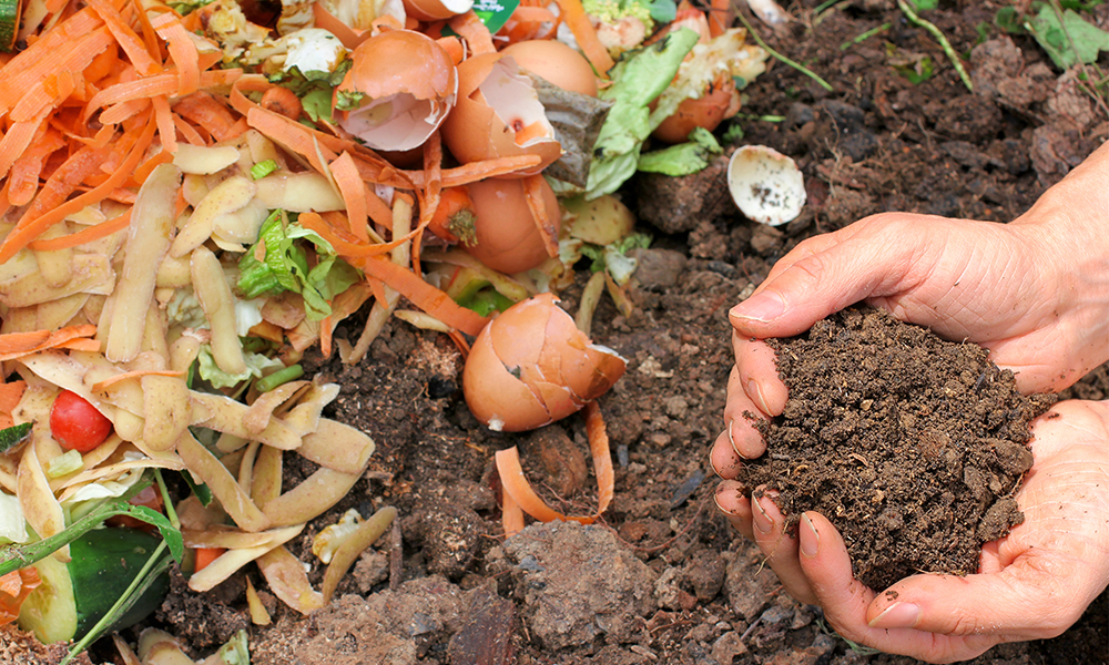 Sustainable Small Farms & Backyards Class: Composting - Summers Corner